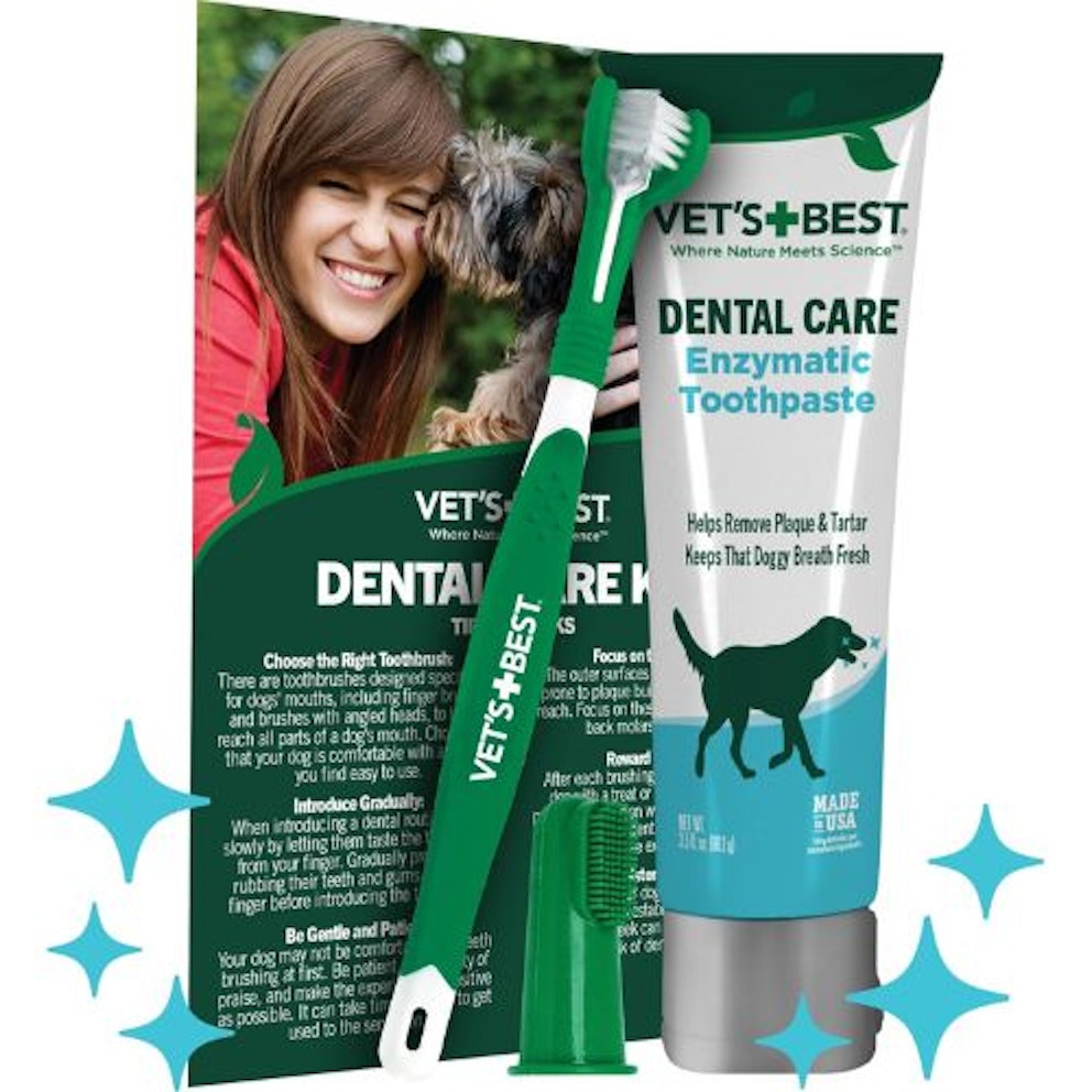 Best dog toothbrush and toothpaste for healthy canine teeth