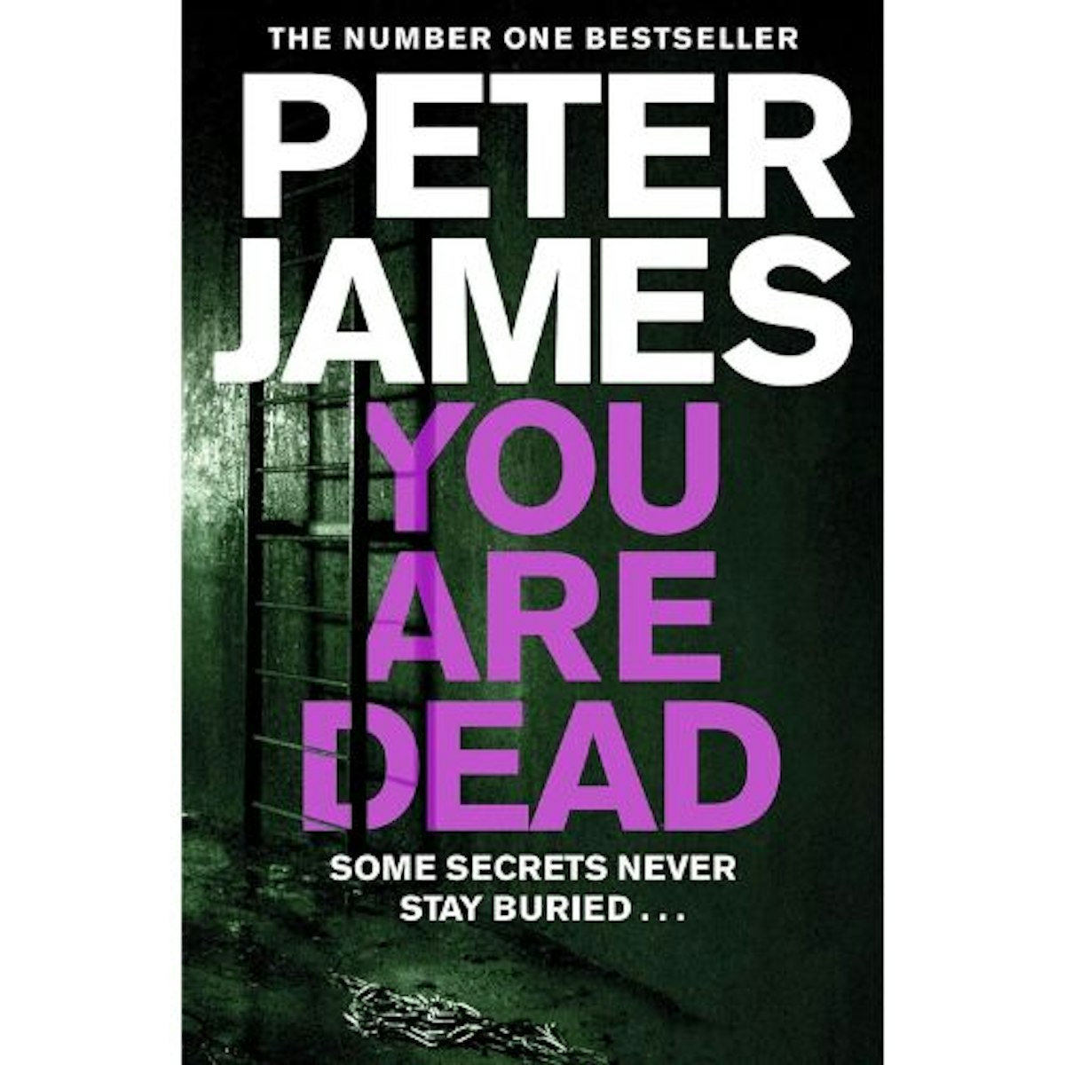 Peter James Roy Grace series is returning for season 4