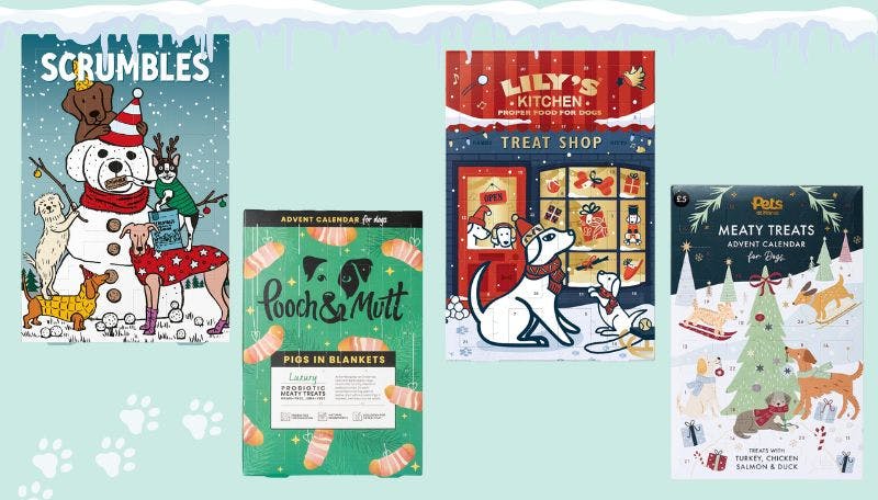 Best dog Advent calendars 2025: tried and tested