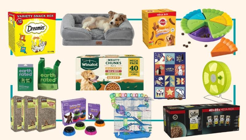 Best Amazon pet deals ahead of the Amazon Spring Sale 2025