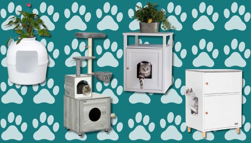 The best hidden cat litter boxes for privacy 2024