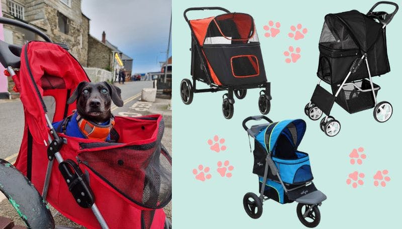 The best dog strollers for every breed and lifestyle
