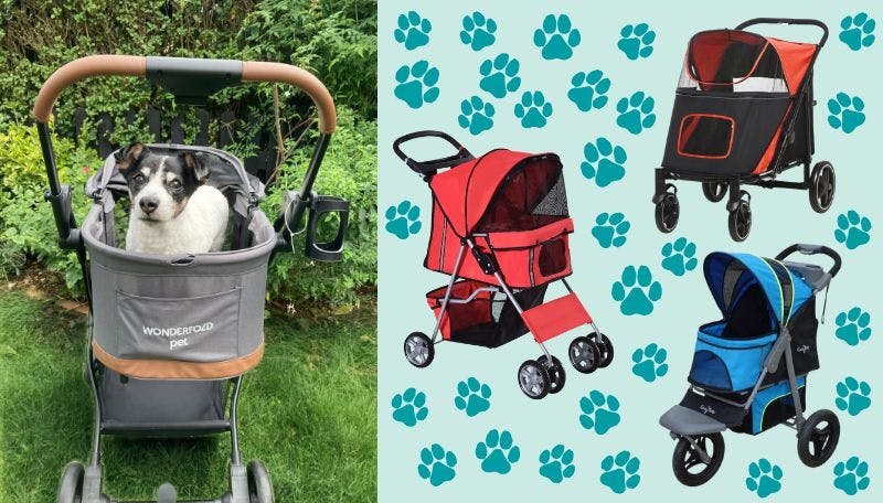 The best dog strollers for every breed and lifestyle