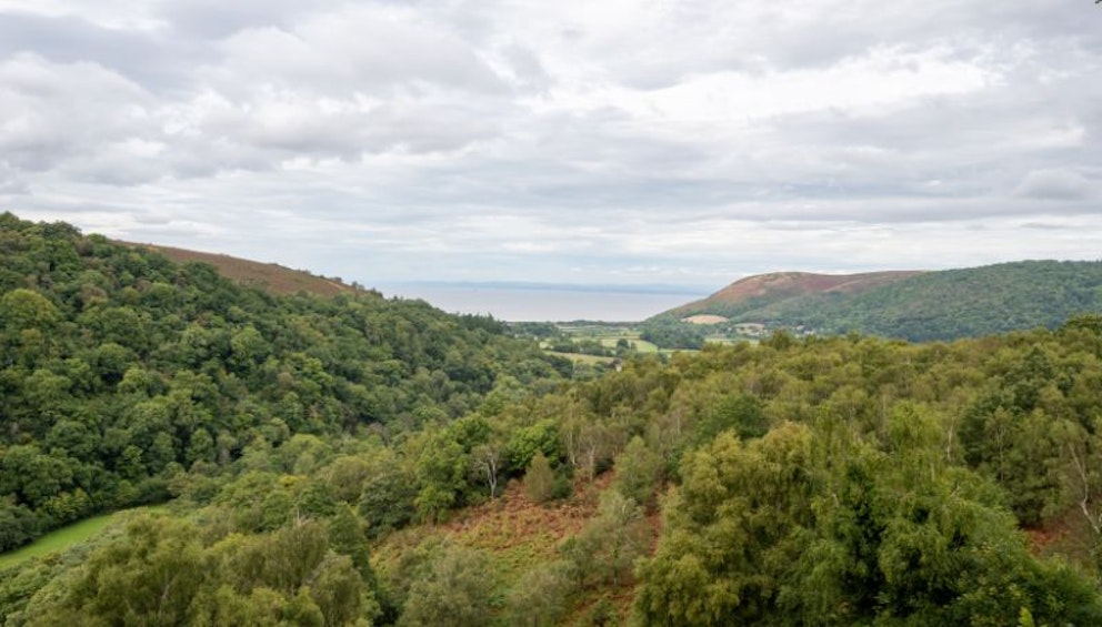 The Salt Path filming locations you can actually visit