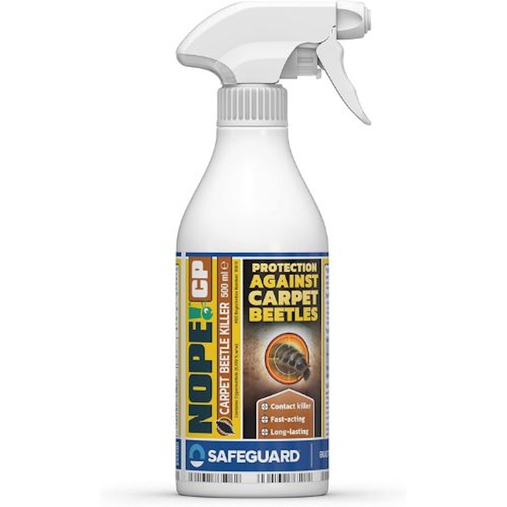 How to get rid of carpet bugs fast, according to an expert