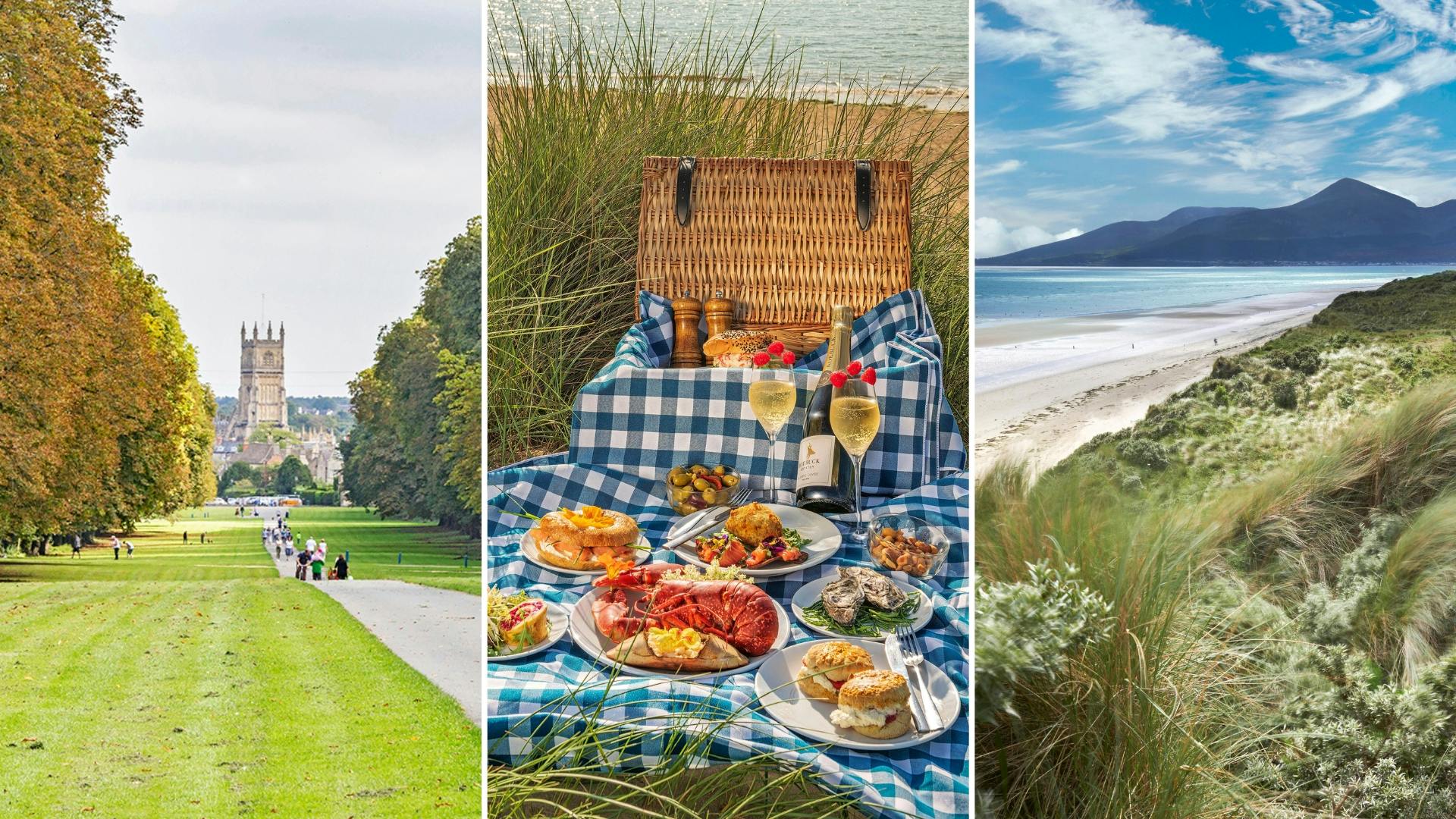 Perfect picnic spots near you to visit this weekend