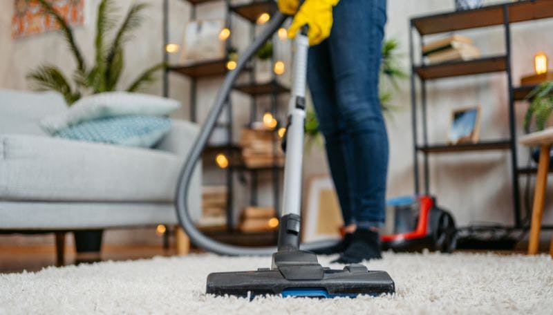 How to get rid of carpet bugs fast, according to an expert