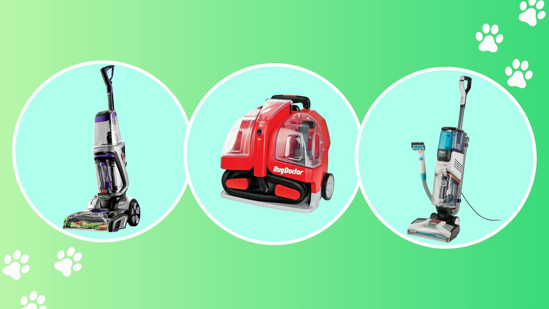 Best Carpet Cleaners For Pets That Really Work On Their Mess