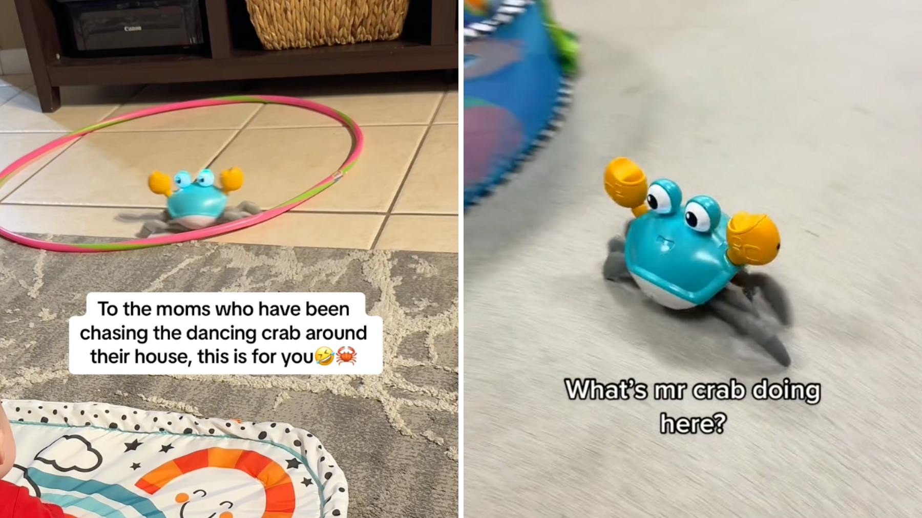 Dancing Crab Toy For Babies: Where To Buy The Viral Toy