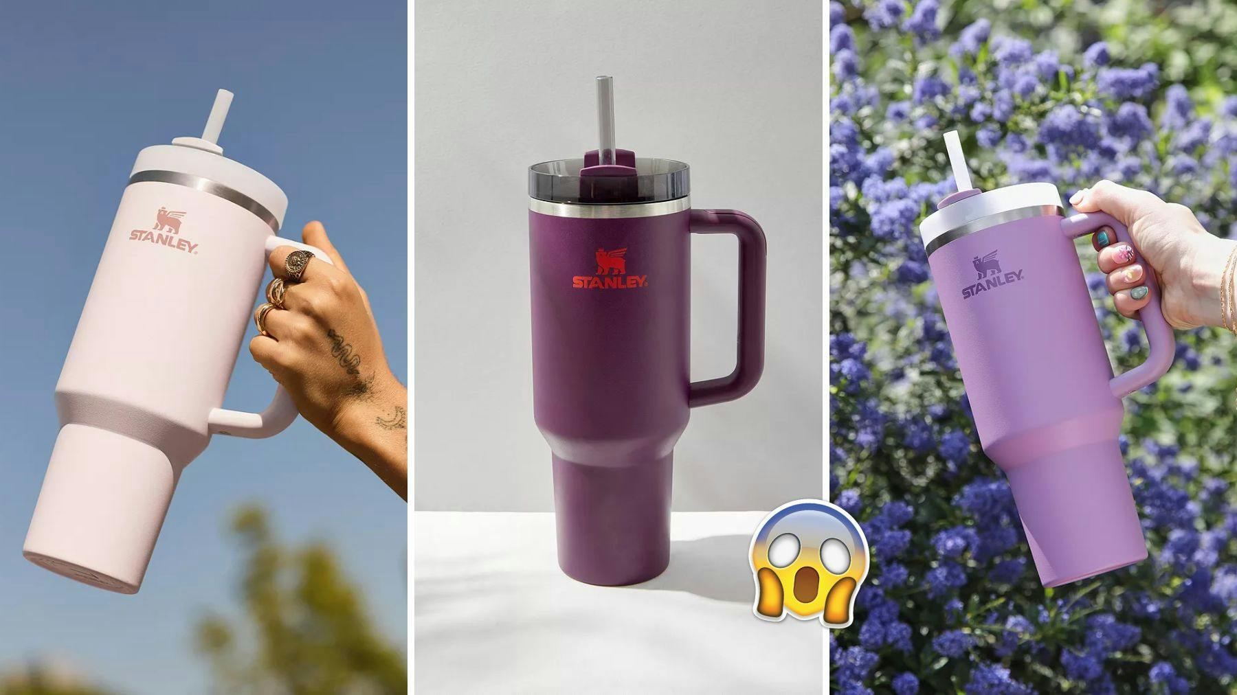 Stanley Cup Black Friday: 23% Off The Internet's Fave Cup