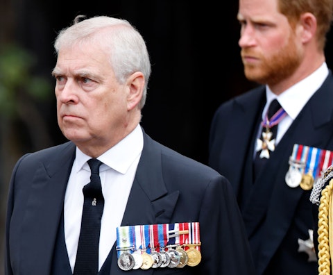 The one royal who Prince Andrew thinks can save him