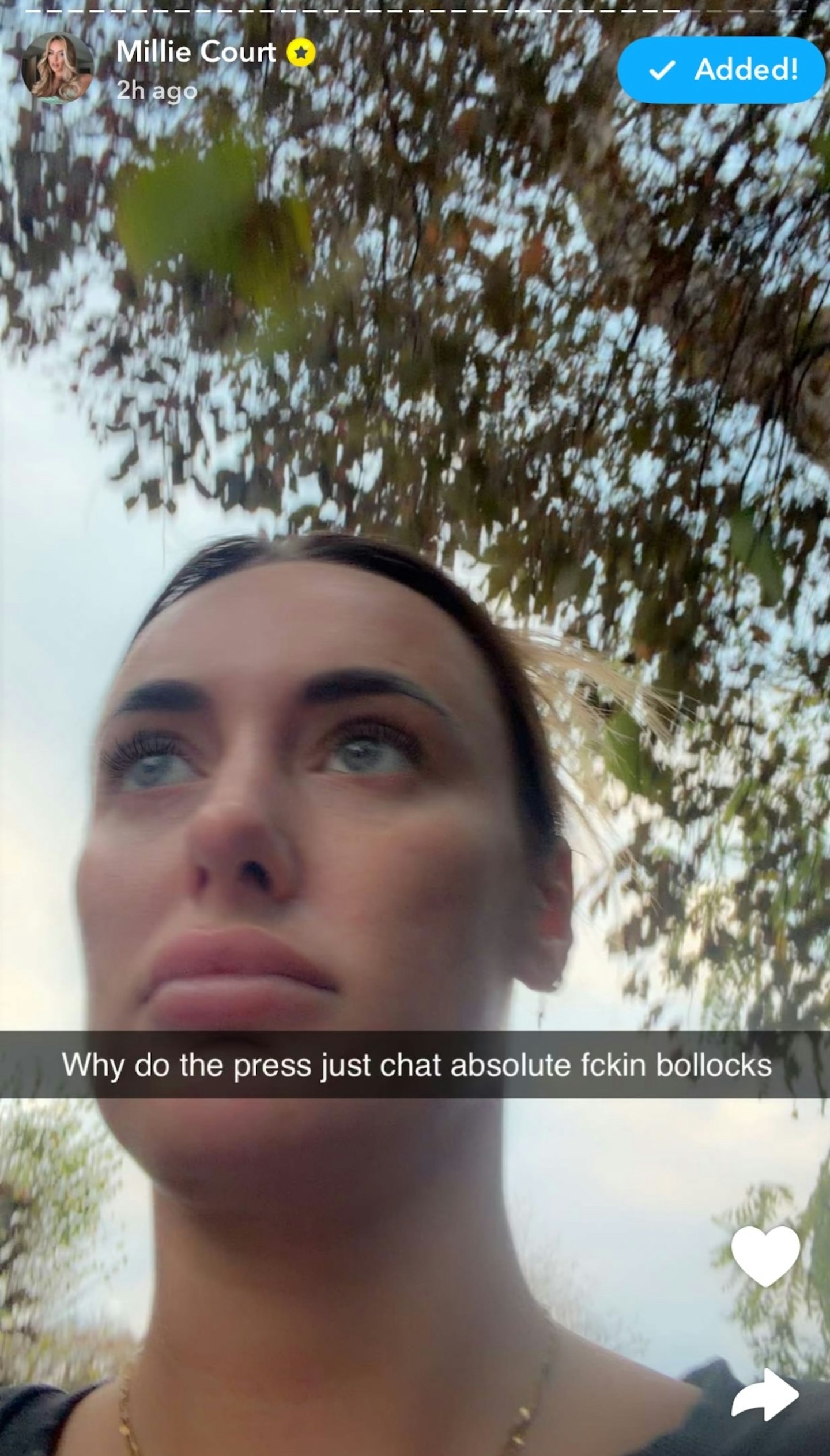 Millie Court shares 'b*llocks' post amid All Stars rumours