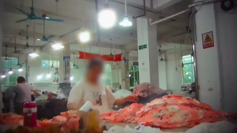 Inside The Shein Machine