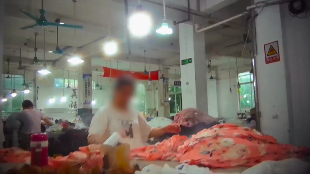 Inside The Shein Machine