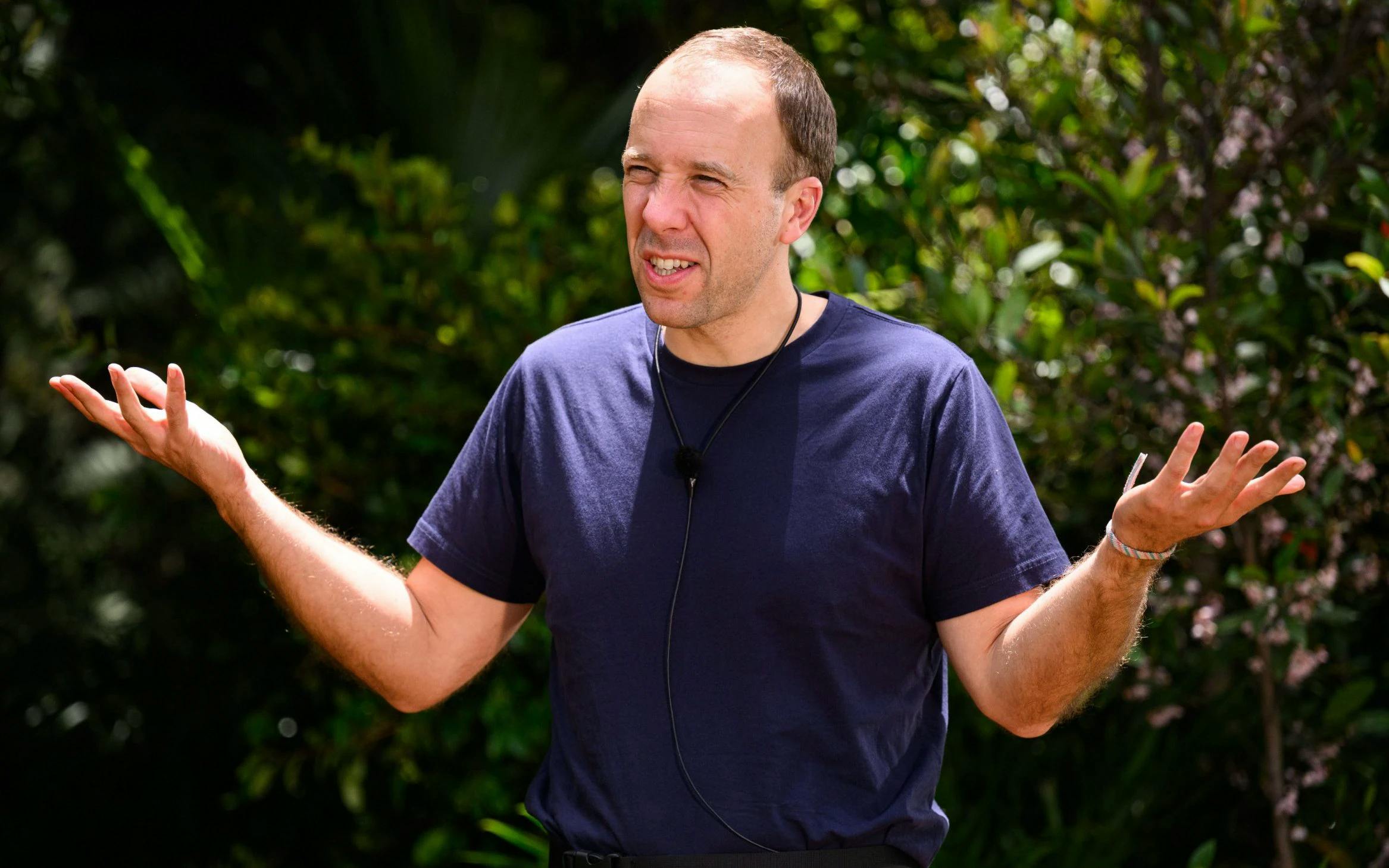 The Best I'm A Celebrity Memes