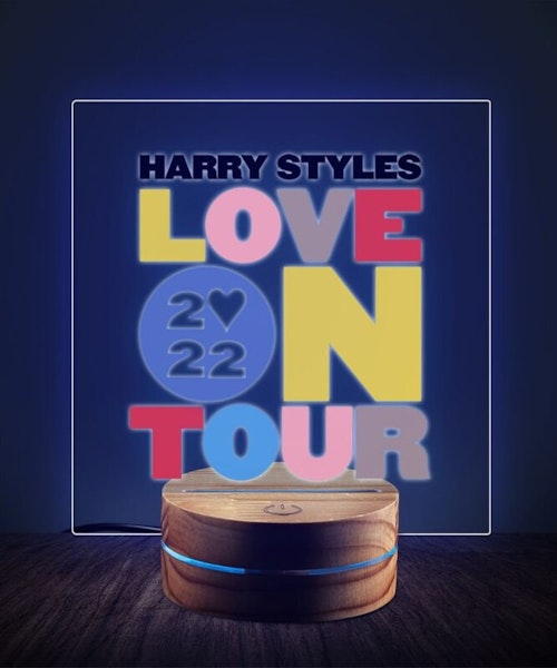 The Best Harry Styles Gifts That Will Make You The Most Popular Present ...