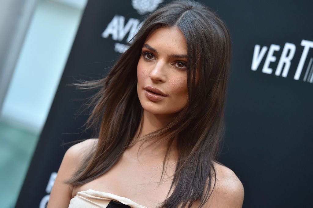 All The Signs You Missed That Harry Styles And EmRata Were Secretly ...