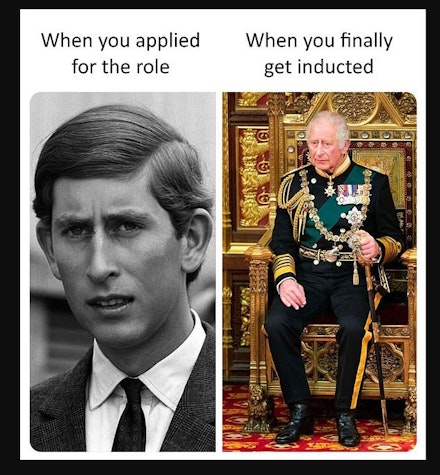 All The Best Coronation Memes To Share Today | Grazia