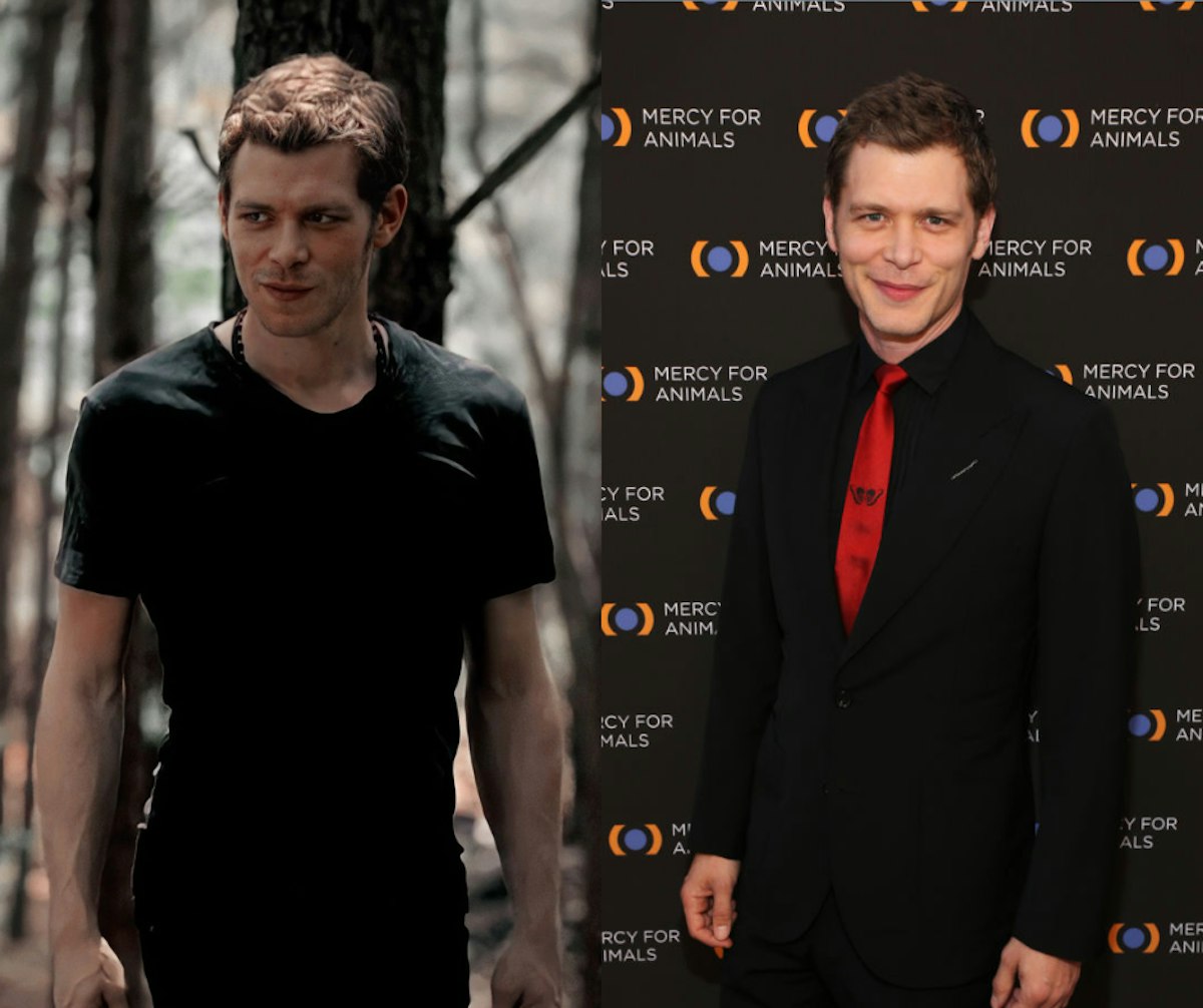 Where Are The Vampire Diaries Cast Now? | Life | Grazia