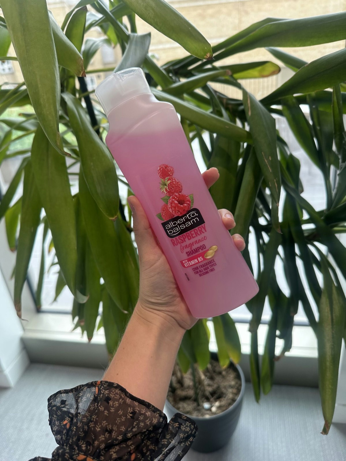 Best Cheap Shampoos, Because They're Not Bad For Your Hair