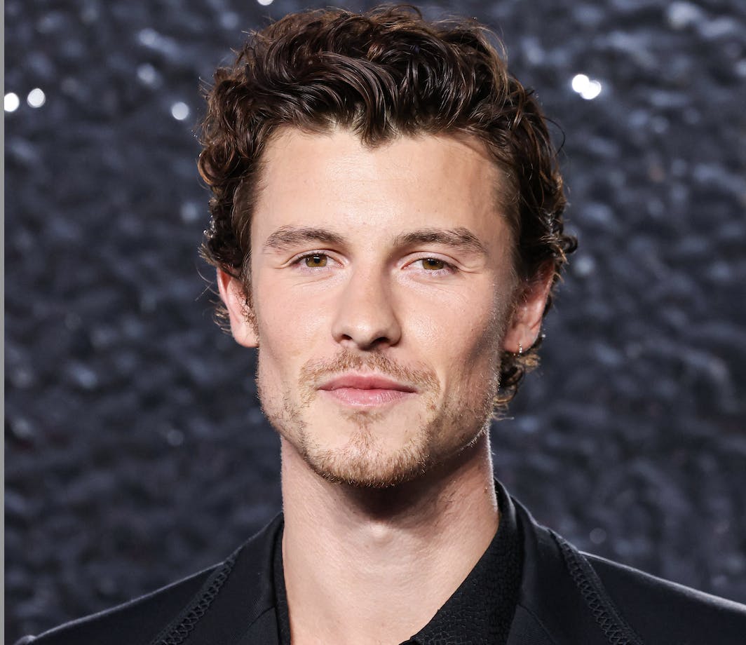 Shawn Mendes Should Not Be Forced To Label His Sexuality