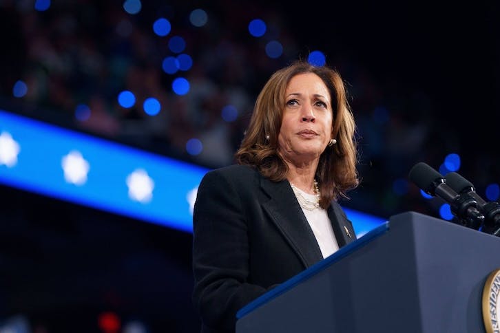 Why Did Kamala Harris Lose The Election?
