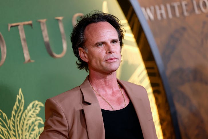 Meet Walton Goggins, White Lotus' Rick
