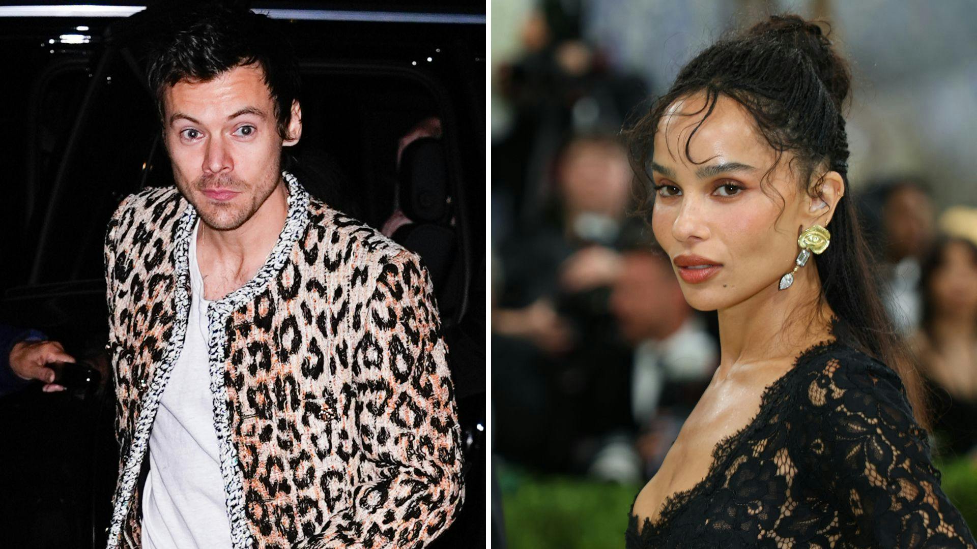 Wedding and a baby for Harry Styles and Zoe Kravitz?