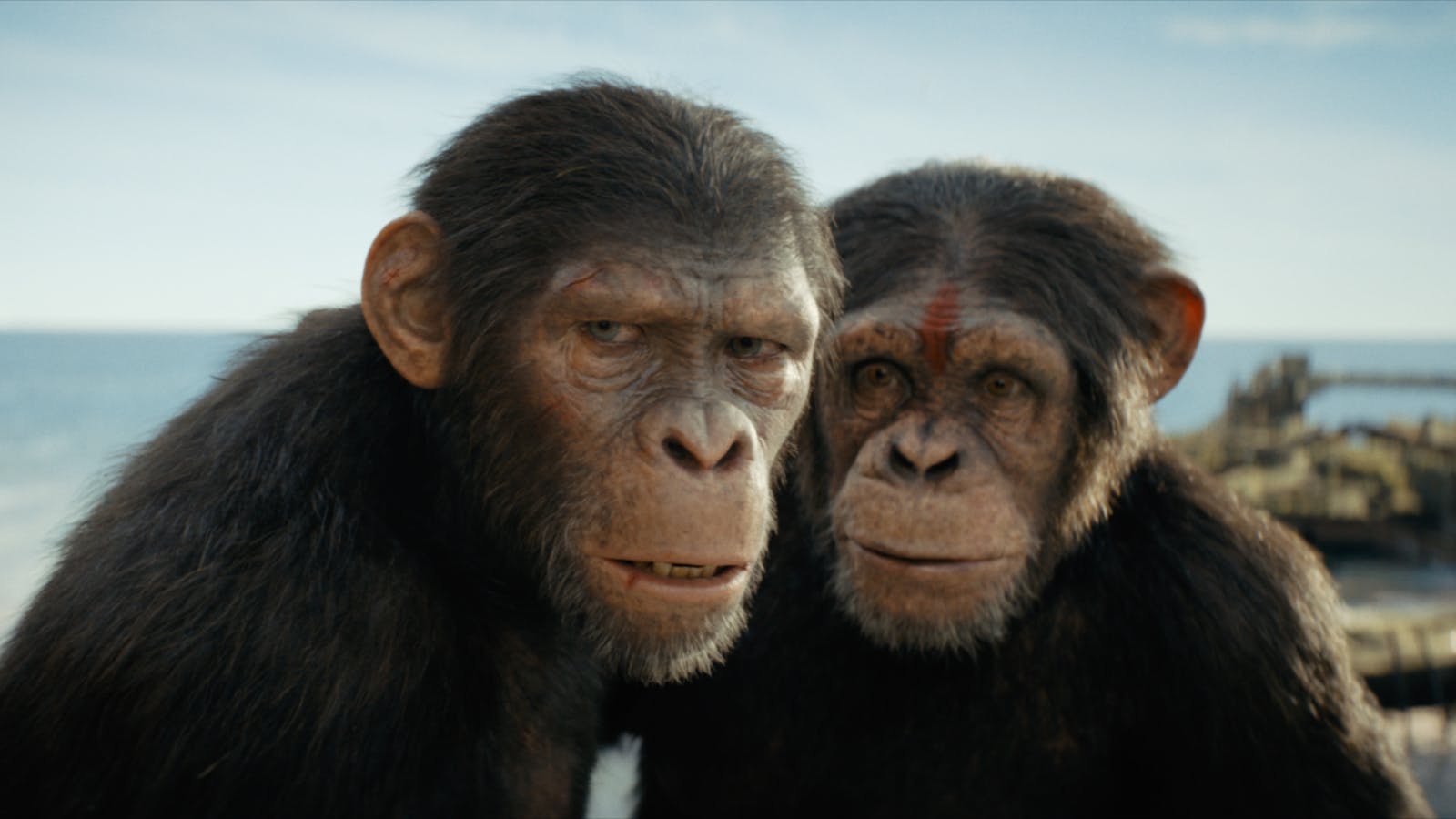 Kingdom Of The Planet Of The Apes Review – 'These apes are still strong'