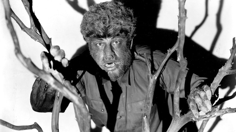 The 10 Best Werewolf Movies To Have You Howling At The Moon