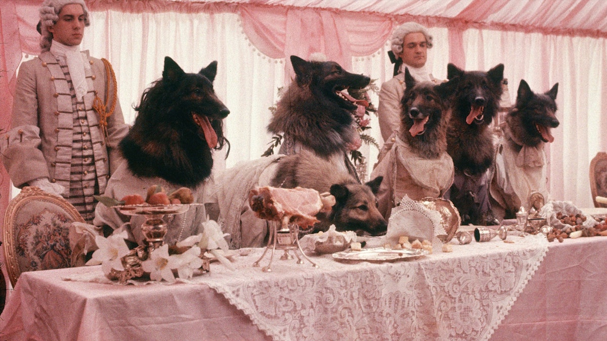 The 10 Best Werewolf Movies To Have You Howling At The Moon