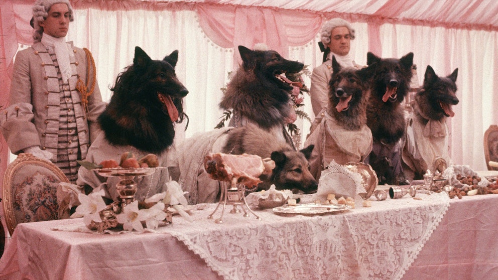 The 10 Best Werewolf Movies To Have You Howling At The Moon