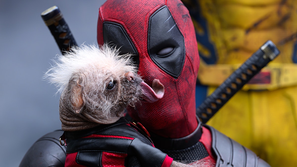 Deadpool & Wolverine Review – 'Marvel has found its mojo again'