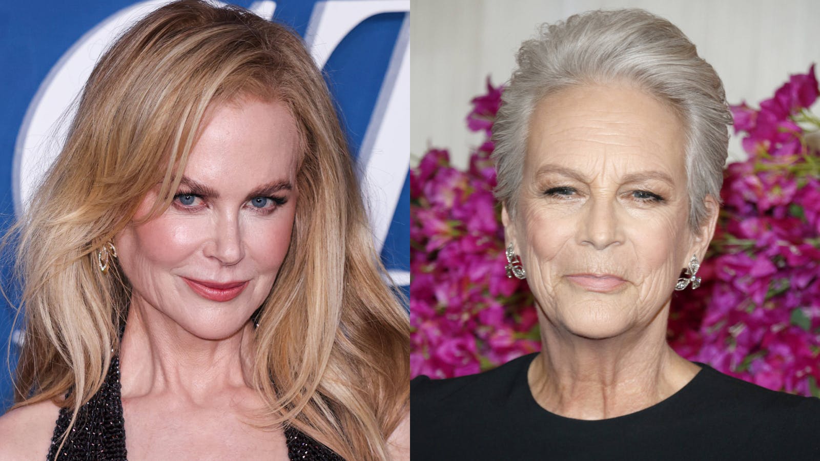 Nicole Kidman And Jamie Lee Curtis Crime Drama Series Scarpetta Moving ...