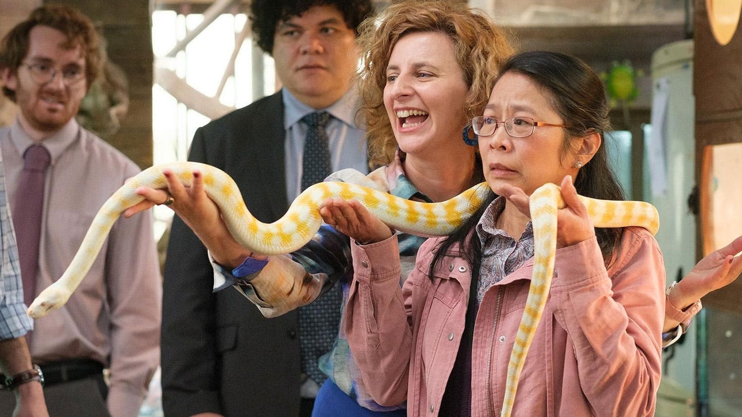 The Office (Australia) Review – 'The jokes aren't up to snuff'