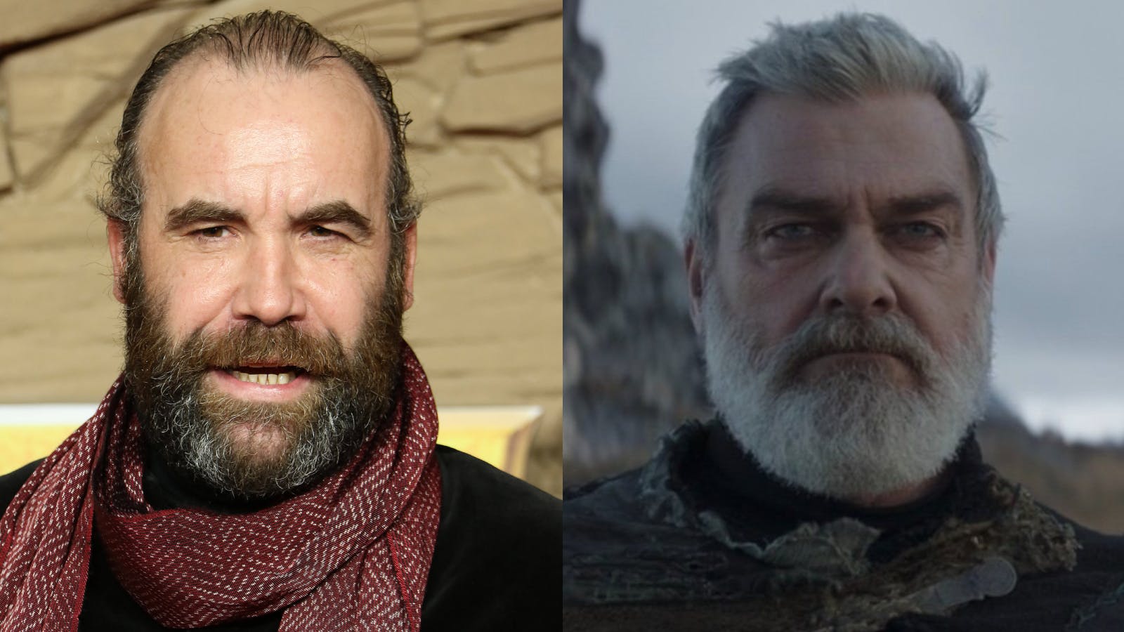 Game Of Thrones' Rory McCann Will Take Over Ray Stevenson's Role As ...