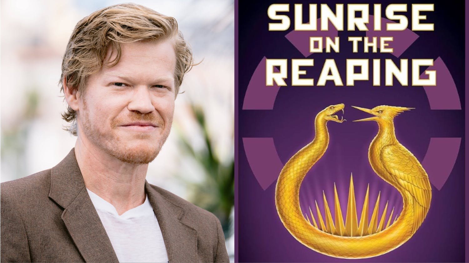 Jesse Plemons Joins The Hunger Games: Sunrise On The Reaping In Former ...