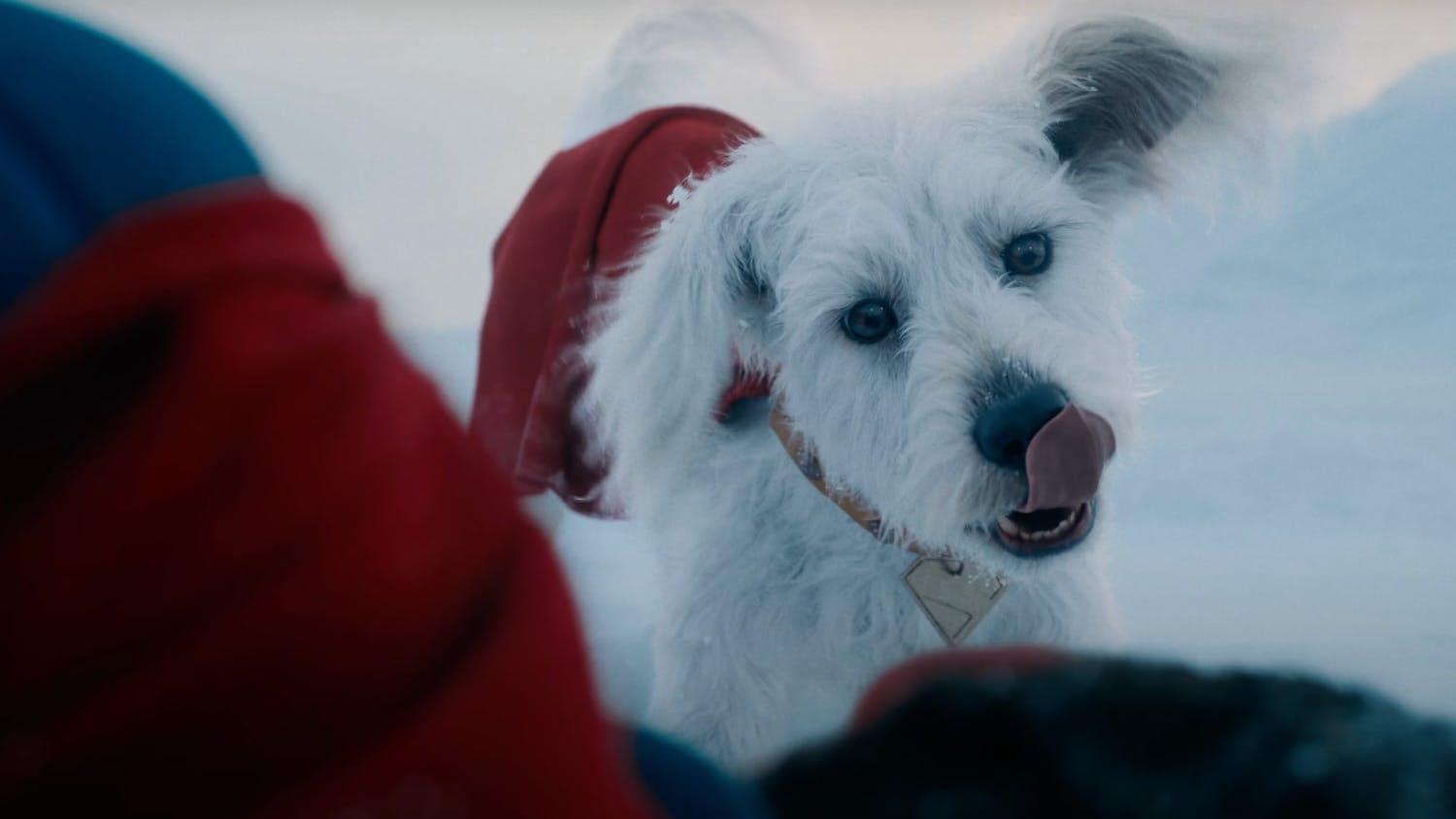 DC Superdog Krypto Comes To The Rescue In Extended Sneak Peek At James ...