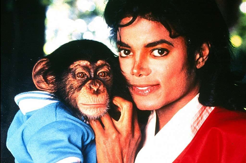 Anomalisa producers plan film about Michael Jackson’s chimp Bubbles ...