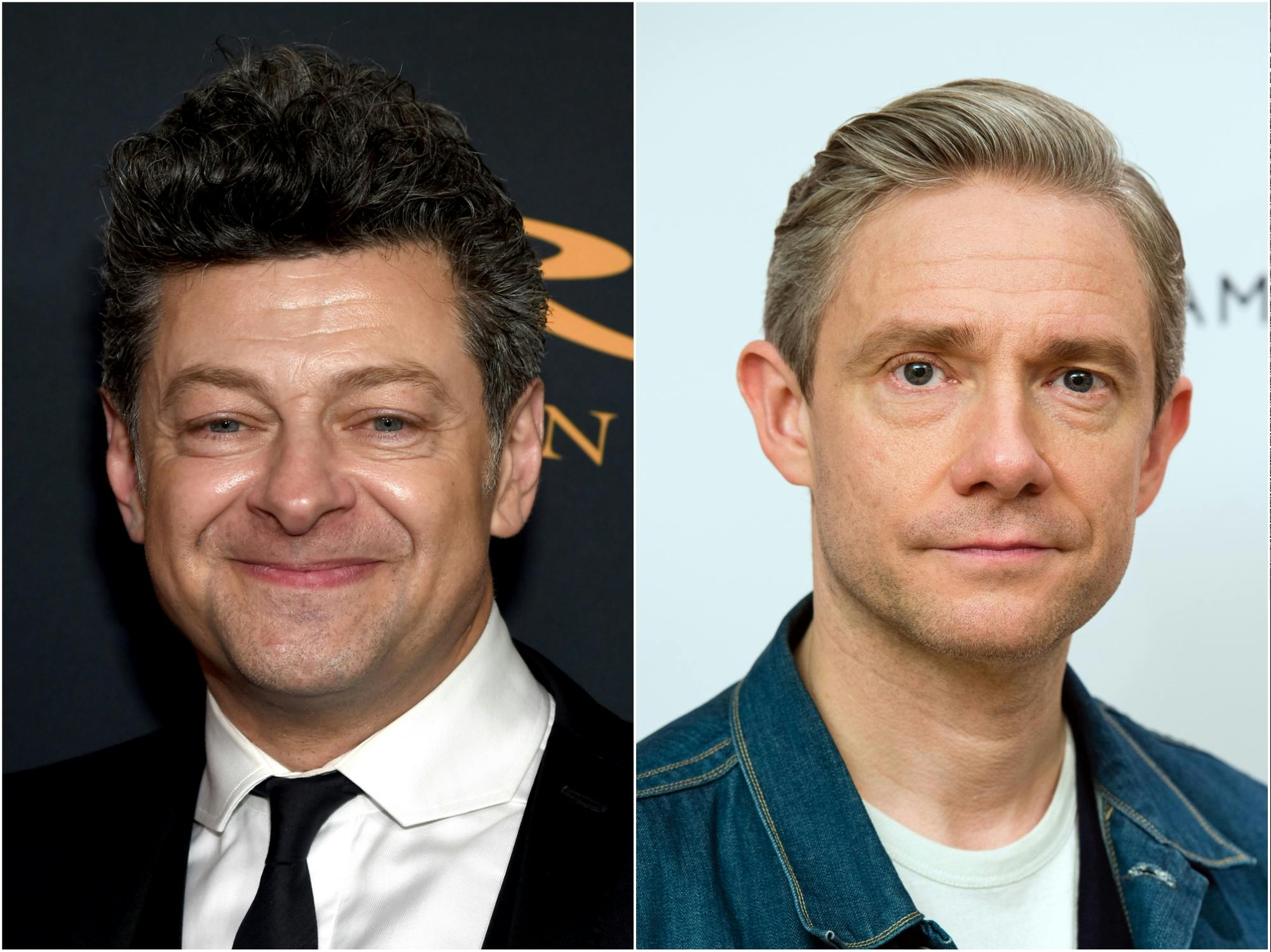 Martin Freeman Look Alike