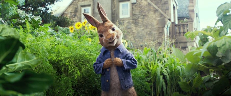 James Corden And More Go Wild In The Peter Rabbit Trailer | Movies ...