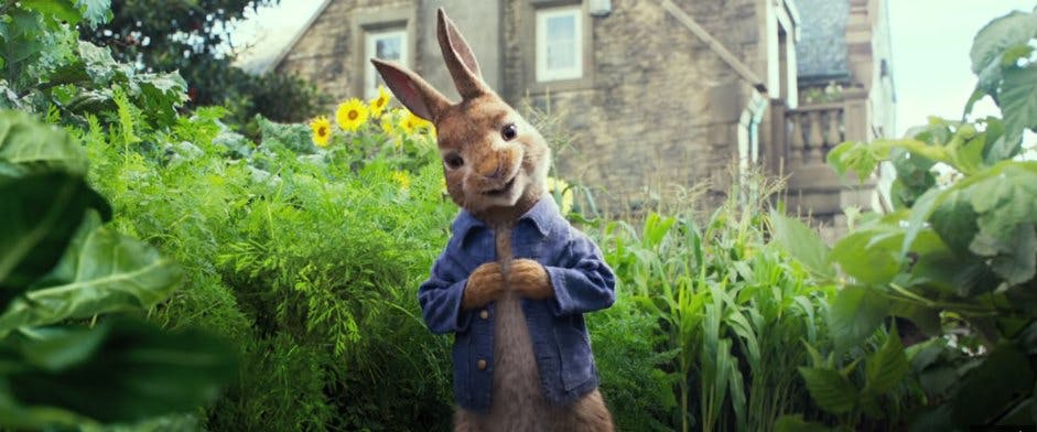 Peter Rabbit: New Trailer And Poster Arrive | Movies | Empire