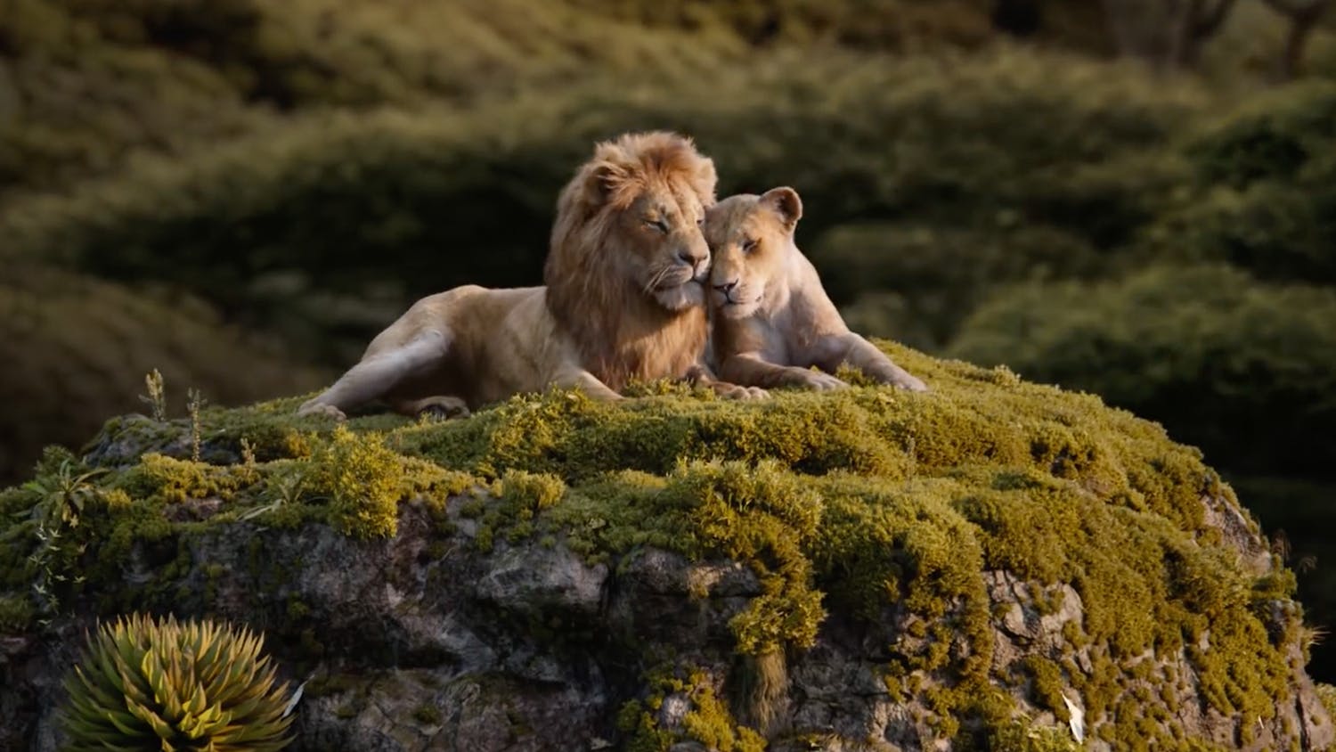 The Lion King: Hear Beyonce And Donald Glover Sing Can You Feel The ...