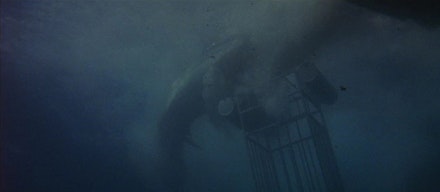 Steven Spielberg’s Jaws: A Viewer’s Guide | Movies | Empire