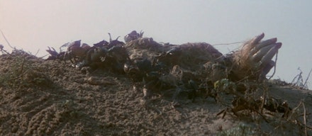 Steven Spielberg’s Jaws: A Viewer’s Guide | Movies | Empire