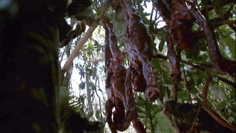 Predator: The Complete History | Movies | Empire