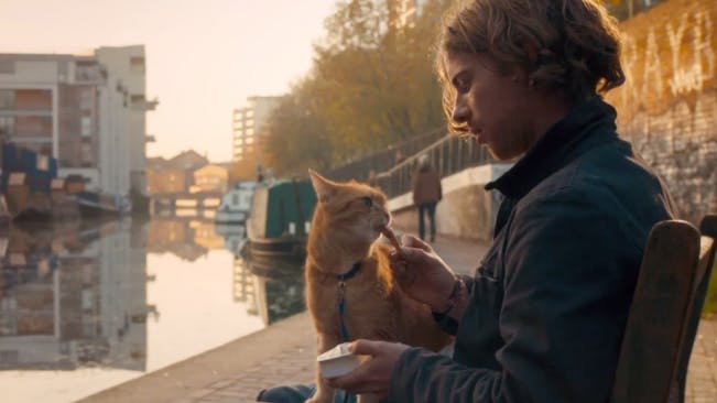 A Street Cat Named Bob Review | Movie - Empire