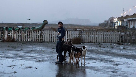 Dogman Review | Movie - Empire