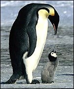 Call Of Nature | Movies | Empire