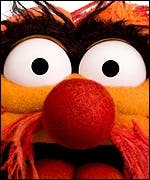 Muppets Animal Facebook Cover